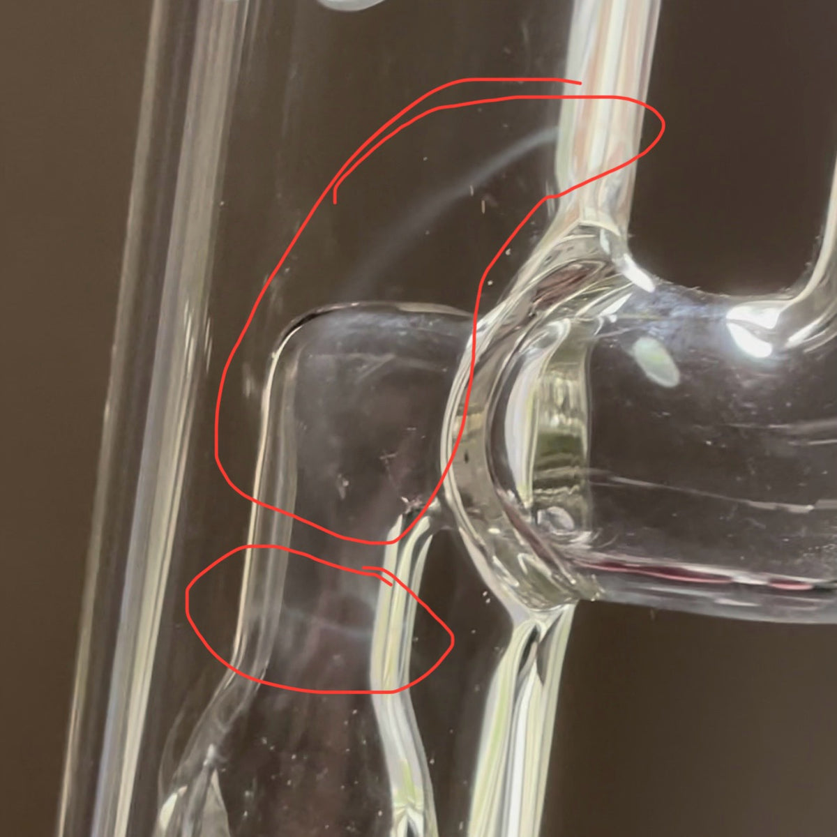 How to Prevent Bloom – GlassPass Merch